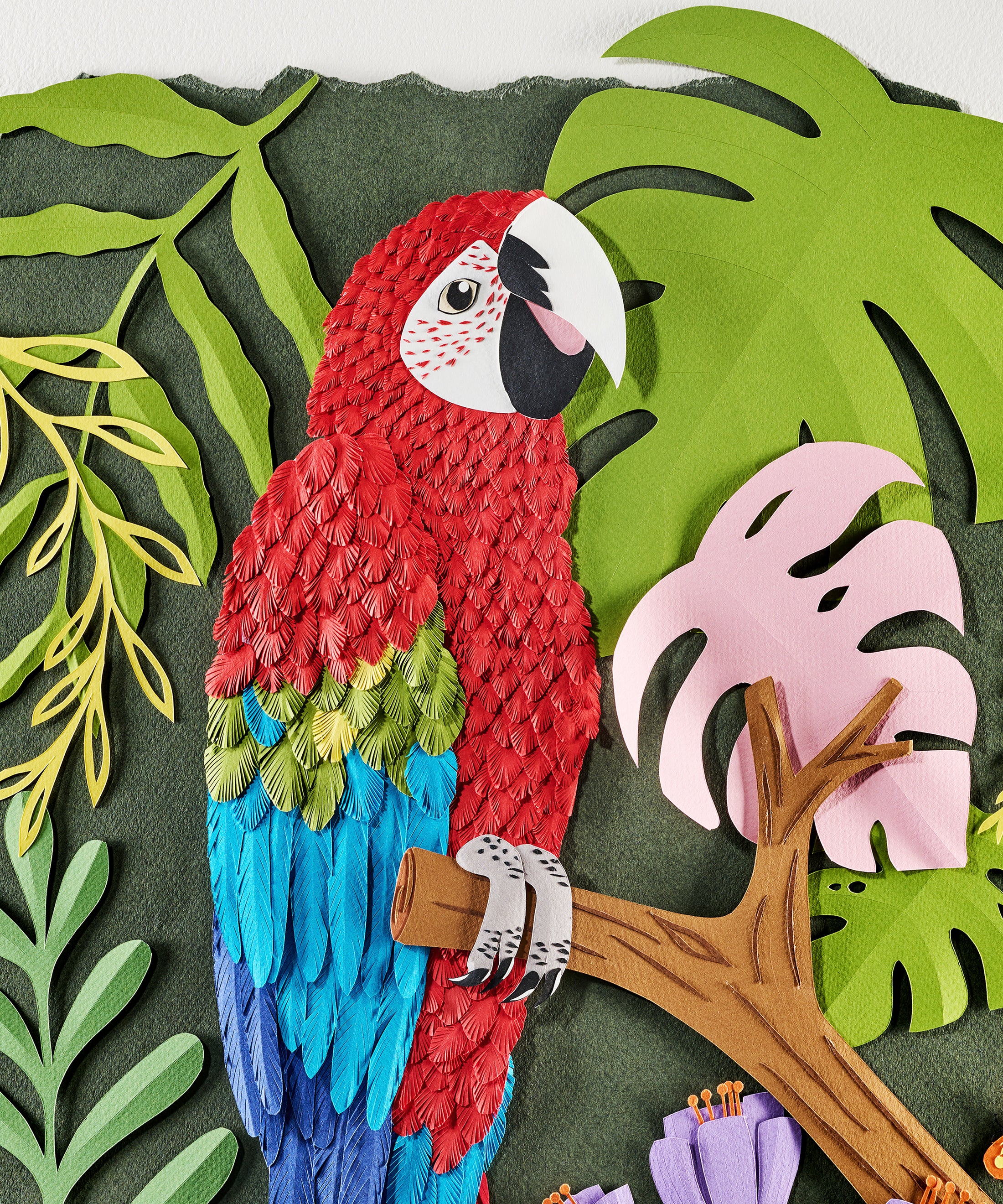 Red Macaw by Andrea Cira – Little Van Gogh's